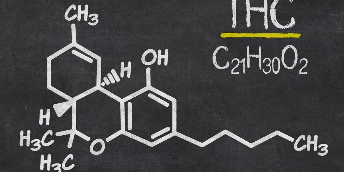 What Is THC and How Does It Affect the Body? | CBDMania.eu